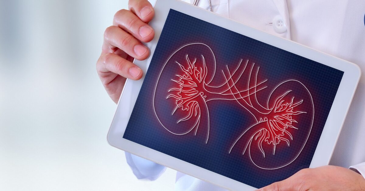 Know your kidneys | Kidney Health Australia