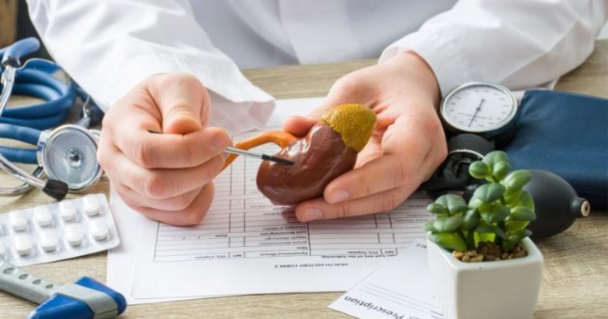 Types Of Kidney Disease | Kidney Health Australia